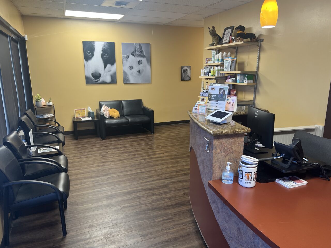 Companion Animal Veterinary Hospital Tour | Vet Clinic In Centennial, CO