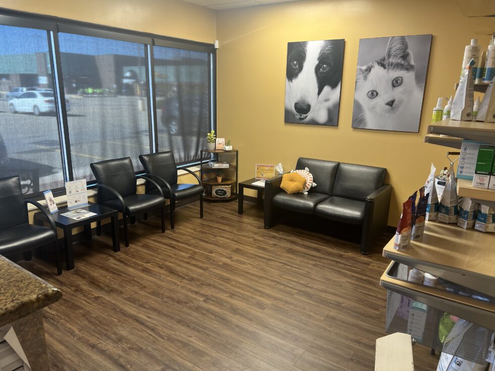 Companion Animal Veterinary Hospital Tour | Vet Clinic In Centennial, CO